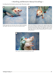 Techniques Training: Rat